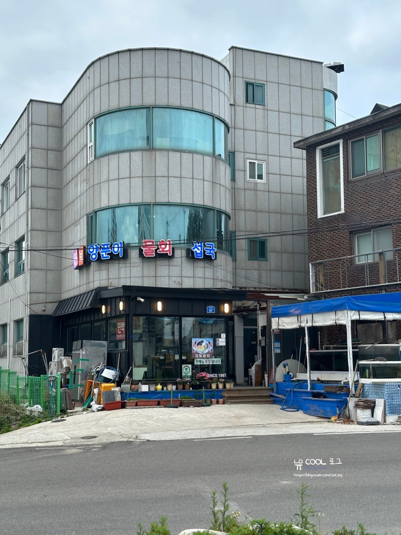 강릉 1박2일 내돈내산 강릉 진보 양푼이물회횟집 네이버 블로그
