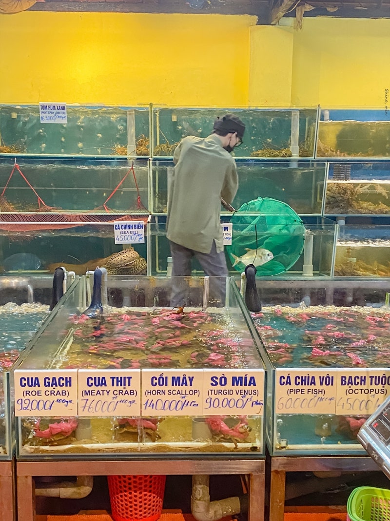 베트남 다낭 현지 해산물 맛집 목식당 메뉴 가격 예약 방법 네이버 블로그