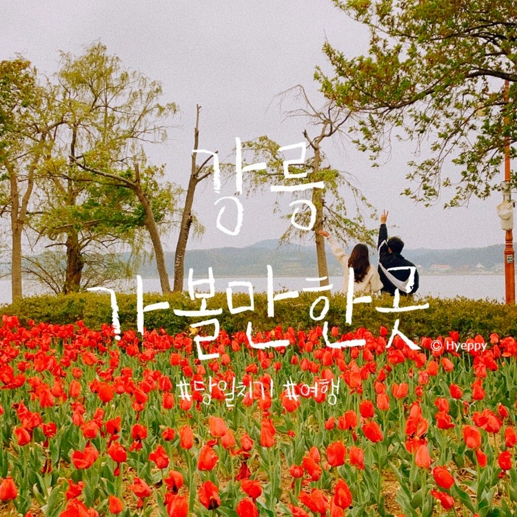강릉여행 가볼만한곳 당일치기 초당짬뽕순두부 경포호수공원 그리우니 카페 네이버 블로그