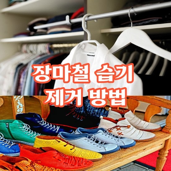 장마철 집안 습기 제거 방법 알아볼까요 네이버 블로그