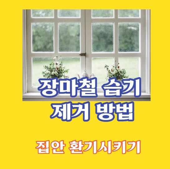 장마철 집안 습기 제거 방법 알아볼까요 네이버 블로그