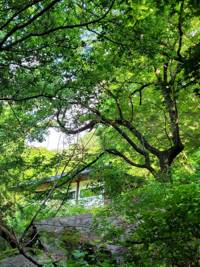 지리산 화엄계곡 코스 구례 화엄사 And 연기암 및 7암자 탐방로 네이버 블로그