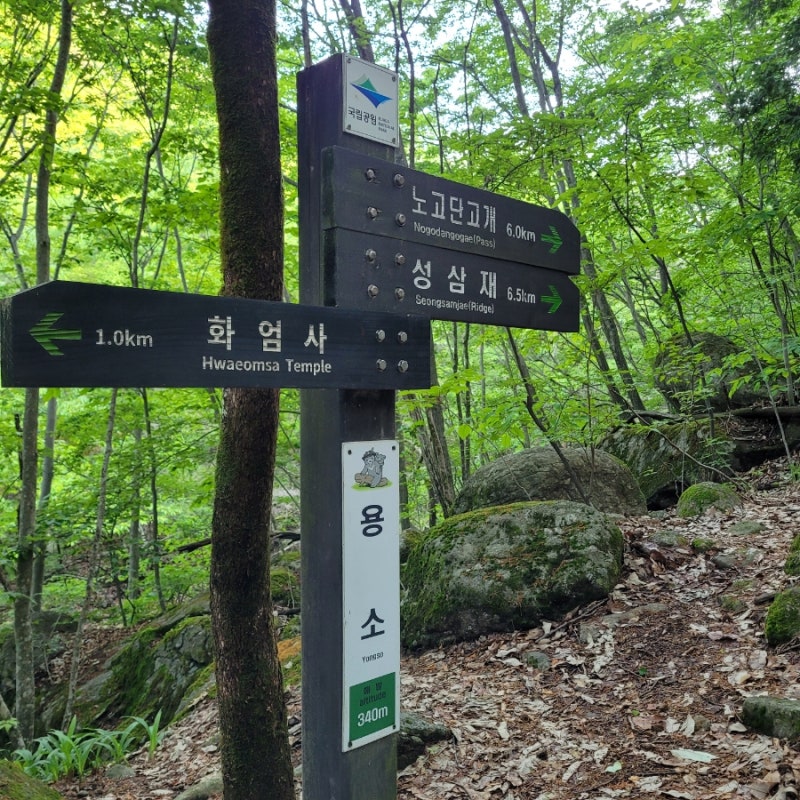 지리산 화엄계곡 코스 구례 화엄사 And 연기암 및 7암자 탐방로 네이버 블로그