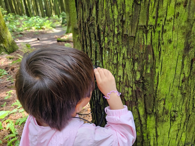 사려니숲길 제주 어린이 체험, 유아숲체험 우리는탄낭가족 : 네이버 블로그