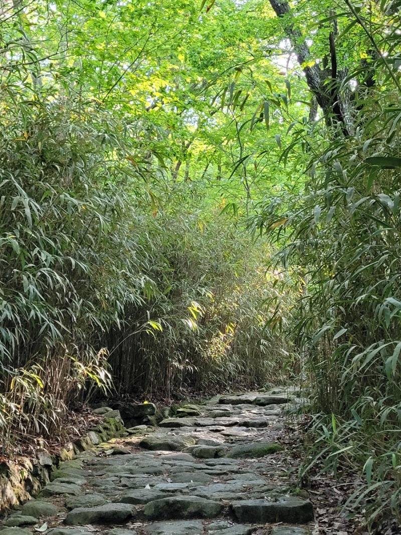 지리산 화엄계곡 코스 구례 화엄사 And 연기암 및 7암자 탐방로 네이버 블로그