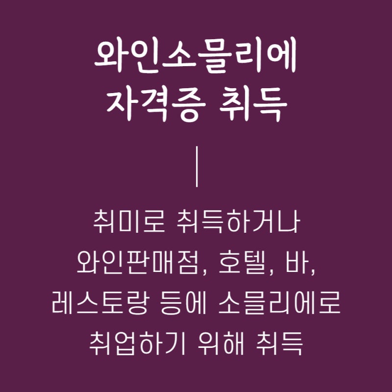 와인소믈리에 자격증 정보 및 취득하는 방법 네이버 블로그