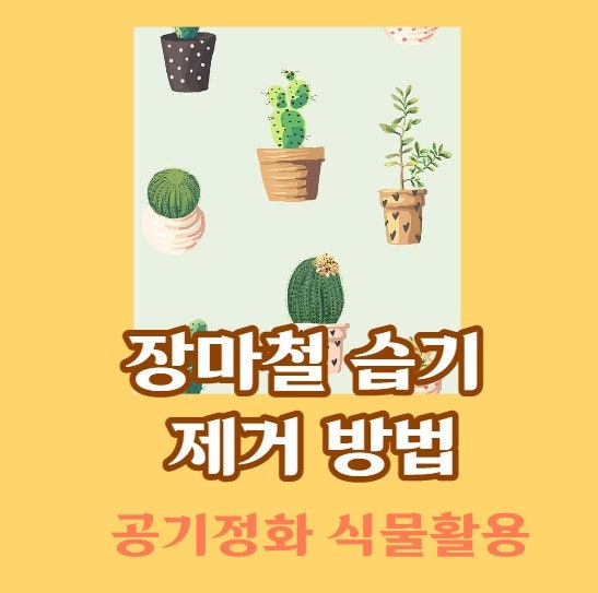 장마철 집안 습기 제거 방법 알아볼까요 네이버 블로그