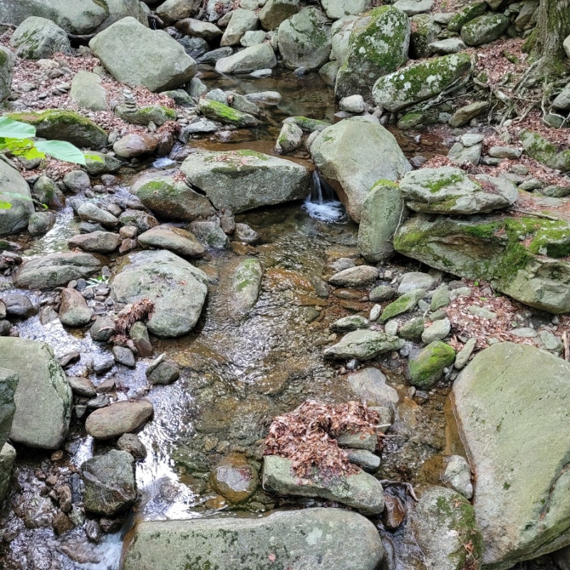 지리산 화엄계곡 코스 구례 화엄사 And 연기암 및 7암자 탐방로 네이버 블로그