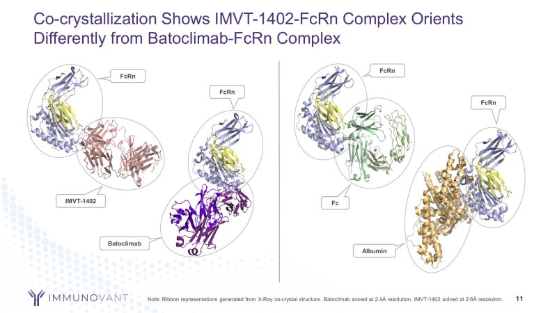 IMVT-1402 FDA1상 개시, TED 항TSH-R 개념입증, 주요 일정 발표 : 네이버 블로그