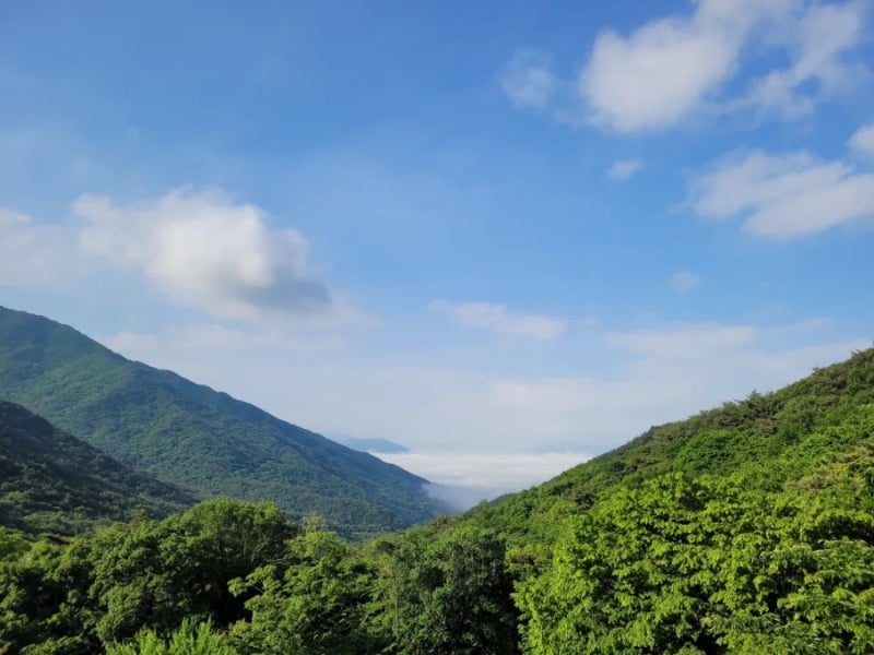지리산 화엄계곡 코스 구례 화엄사 And 연기암 및 7암자 탐방로 네이버 블로그