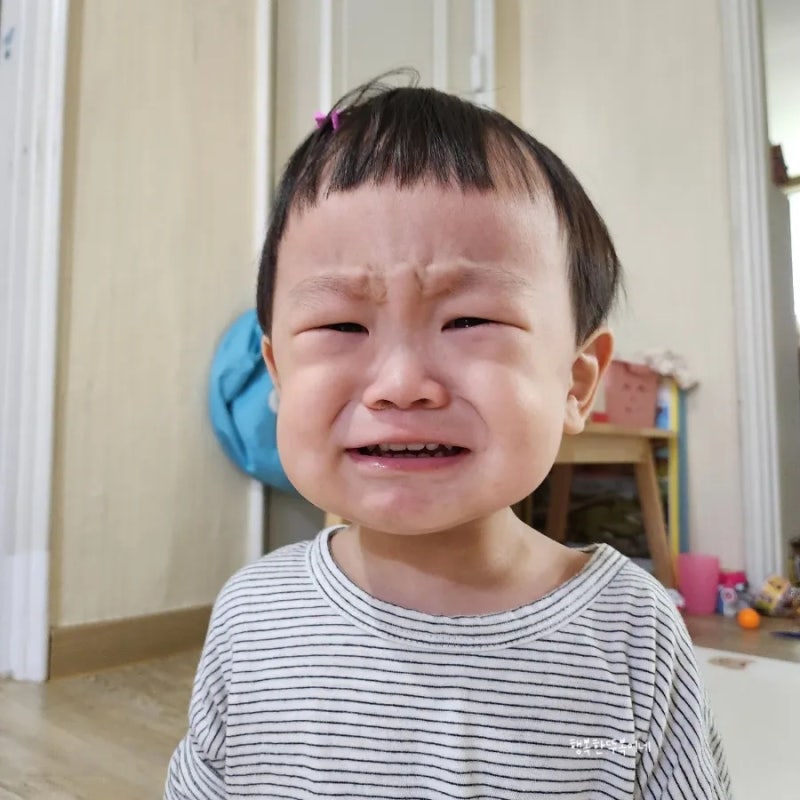 수족구 구내염 열 수포 증상 밥 어린이집 유치원등원 아기보험보장 잠복기 총정리 네이버 블로그