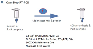 : 네이버 블로그
