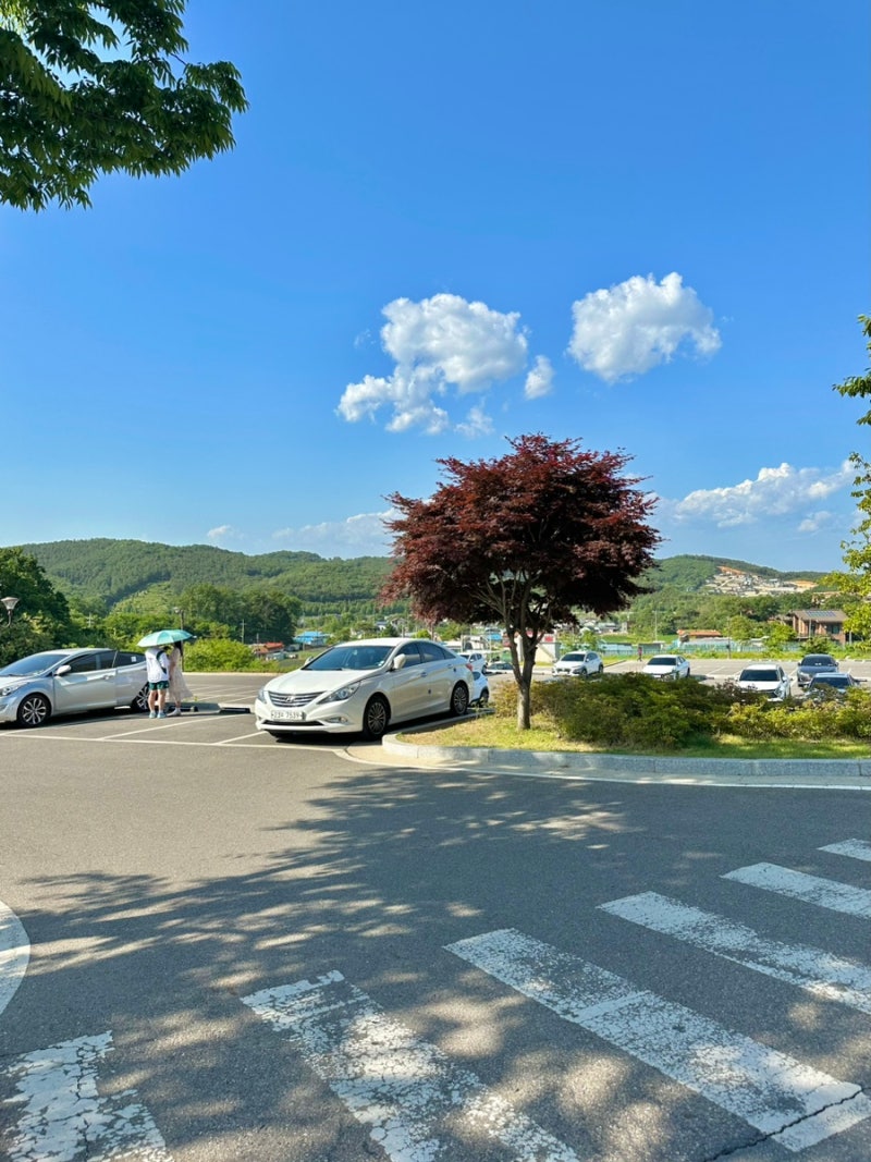강화도 루지 소요시간과 가격과 할인방법까지 씨사이드리조트 루지 네이버 블로그