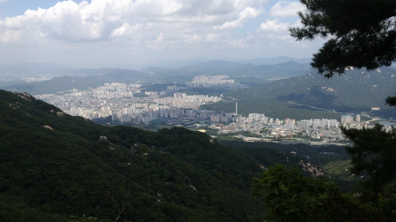학생생활교육위원회 선도위원회 징계 이의신청 재심 행정심판 흡연 절도 벌점 누적 감경 절차 전학 퇴학 절차 보호자 확인서 의견서