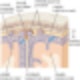 낭만닥터 김사부1 의학용어 정리 - ECMO, 압네아, 캐뉼라 (6/1 추가) : 네이버 블로그