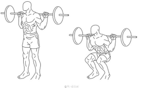스쿼트 Vs 스쿼트머신 운동효과 핵스쿼트 브이스쿼트 차이 바벨 중량 자세 남자 여자 헬스 초보 하체운동 루틴 네이버 블로그
