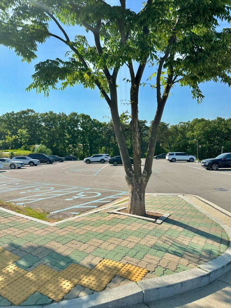 강화도 루지 소요시간과 가격과 할인방법까지 씨사이드리조트 루지 네이버 블로그
