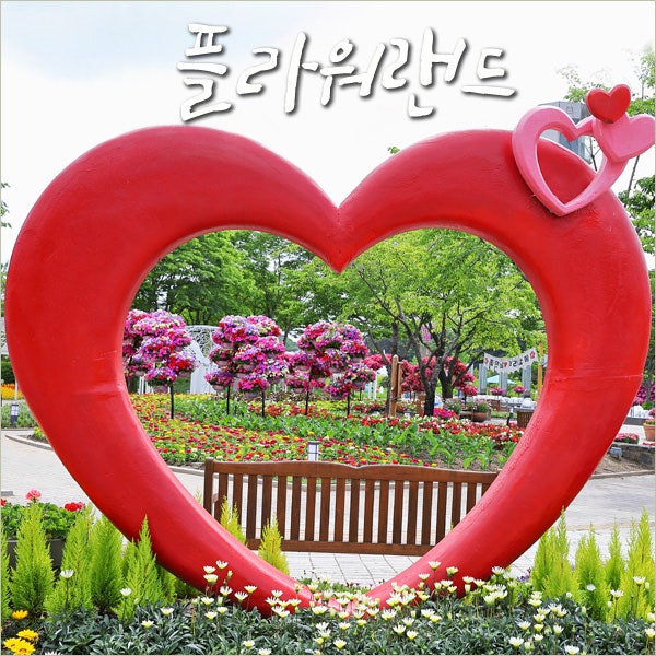 대전 오월드 볼거리 플라워랜드 꽃구경 당일치기 대전 관광지 네이버 블로그