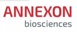 아넥슨(ANNX) 업데이트(통계적 유의성 도달못함) 및 회사소개 Annexon, Inc. : 네이버 블로그