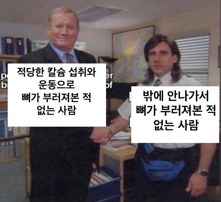 인팁의 모든 것 [INTP 총정리] 특징, 빙고, 이상형, 연애, 연예인, 짤 모음 : 네이버 블로그