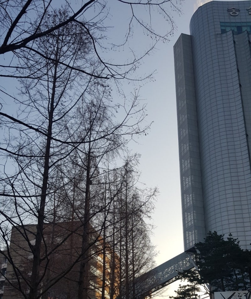 2022 2023 숭실대영어캠프 후기 숭실대영어캠프 2번 보낸 후기영어캠프 주3일vs주5일 Able 캠프 Vs Dream