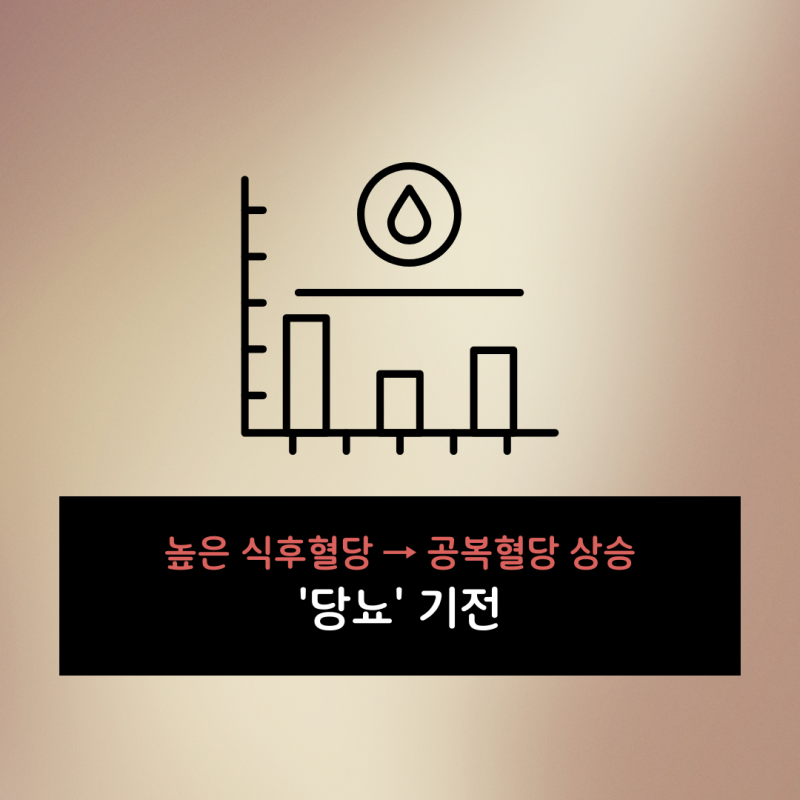 혈당 스파이크 증상 및 원인 혈당관리 예방 팁까지 네이버 블로그