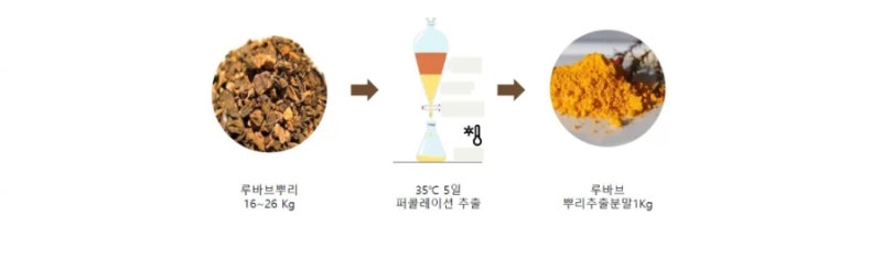 갱년기 증상 완화를 위한 루바브 뿌리 추출물 여성 갱년기 영양제 루바브 효능 네이버 블로그