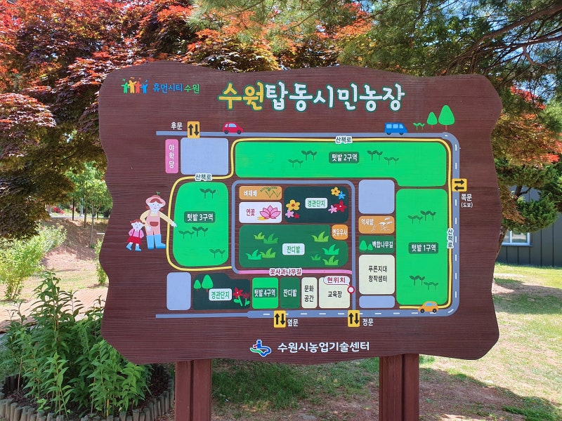 탑동시민농장아름다운 양귀비꽃이 그림처럼 일렁이는 탑동시민농장~ 네이버 블로그