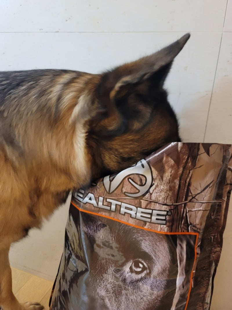 셰퍼드 사료추천 캐나다 현지재료 리얼트리 대형견사료 : 네이버 블로그