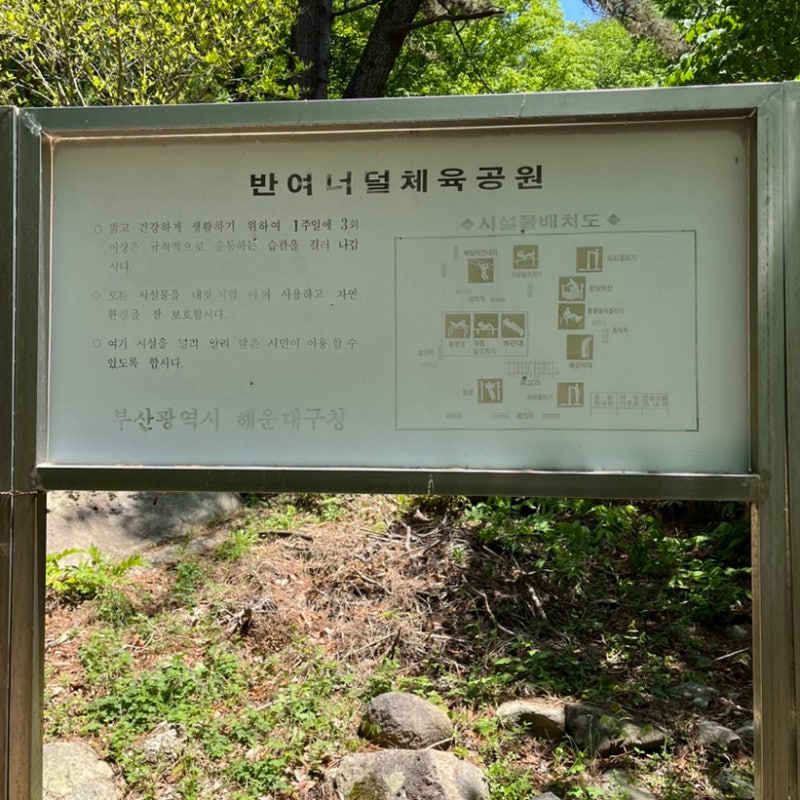 부산 해운대 장산 등산코스 1시간만에 도착하는 최단코스 네이버 블로그