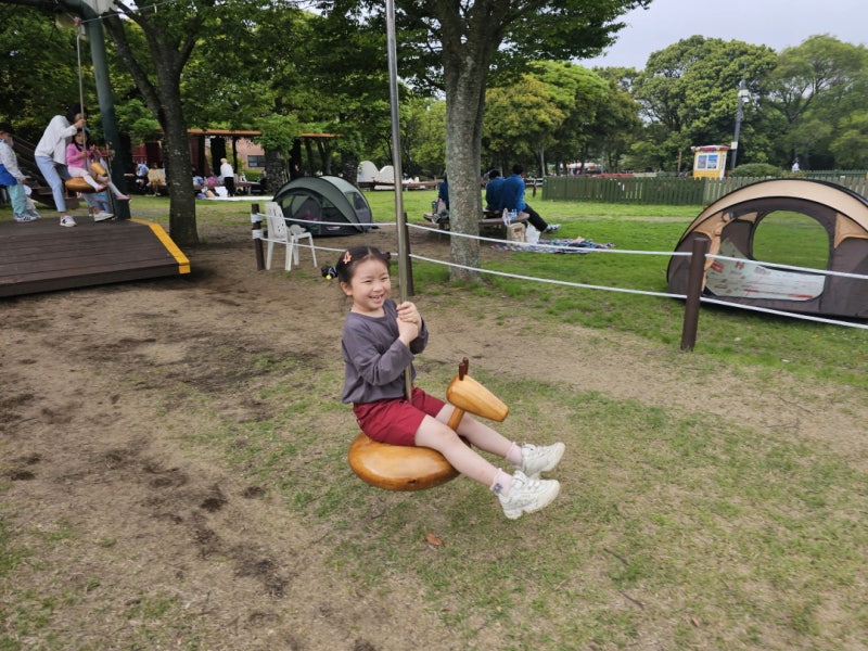 6월 제주도 서부 여행코스 제주 아이랑 애월 가볼만한곳 렛츠런파크 제주 경마공원 네이버 블로그