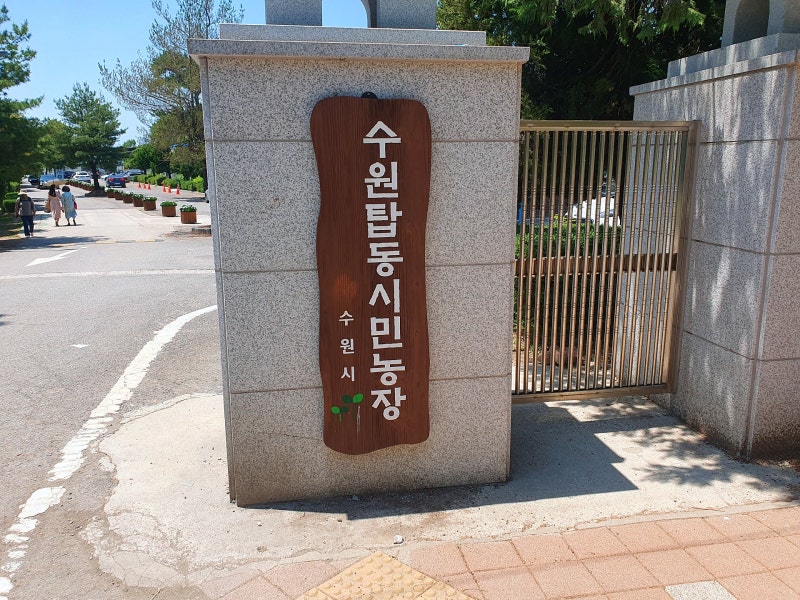 탑동시민농장아름다운 양귀비꽃이 그림처럼 일렁이는 탑동시민농장~ 네이버 블로그