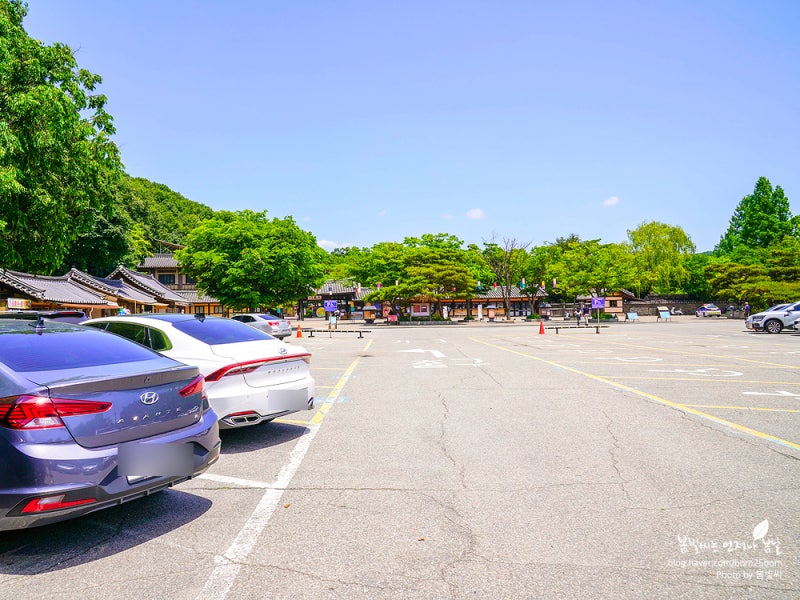 용인 한국민속촌 할인 입장료 놀이기구 놀거리 네이버 블로그