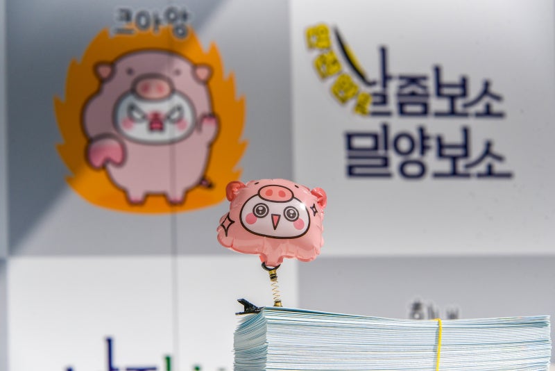 꽃길만 걷고 싶다면 밀양 초동연가길 꽃양귀비 축제로 오세요 네이버 블로그