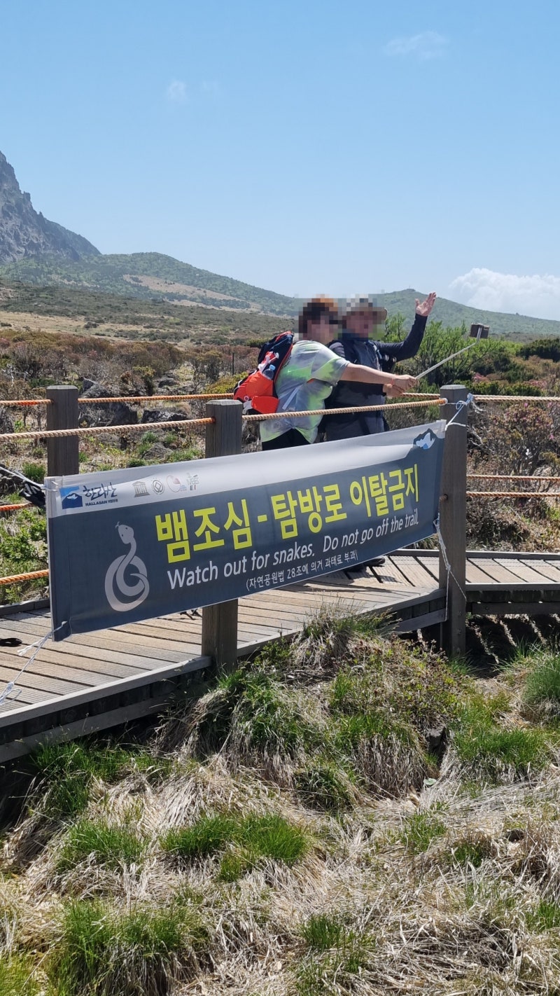 제주도 한라산 영실~윗세오름~어리목 등산코스 철쭉 개화 상황 230523 네이버 블로그