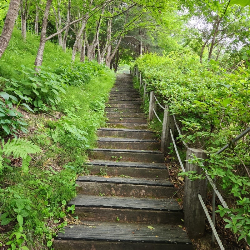 비전힐스 파3 골프 연습장 이용 후기 남양주 집에서 가까운 곳 네이버 블로그