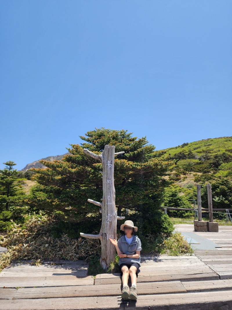 제주도 한라산 영실~윗세오름~어리목 등산코스 철쭉 개화 상황 230523 네이버 블로그