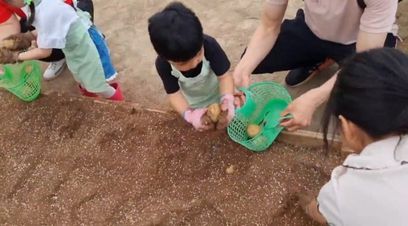 포시즌 힐링팜주말 비 오는 날에 아이들과 가기 좋은 곳 수원 농장체험 네이버 블로그