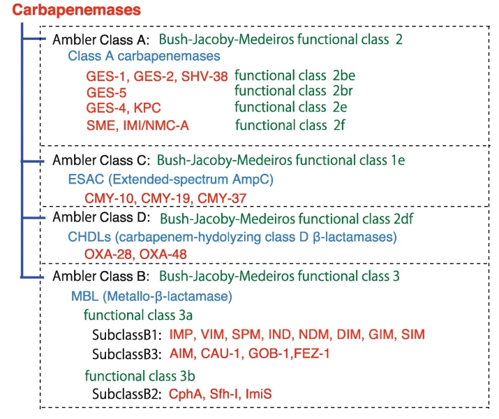 세팔로스포린계에 내성을 갖는 광범위 베타-락타마제, Extended-spectrum beta-lactamases : 네이버 블로그