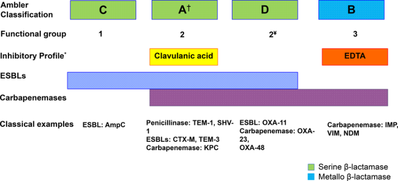 세팔로스포린계에 내성을 갖는 광범위 베타-락타마제, Extended-spectrum beta-lactamases : 네이버 블로그