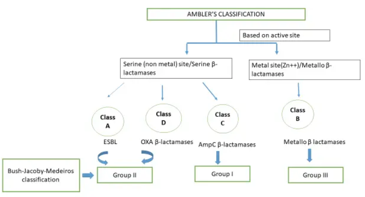 세팔로스포린계에 내성을 갖는 광범위 베타-락타마제, Extended-spectrum beta-lactamases : 네이버 블로그