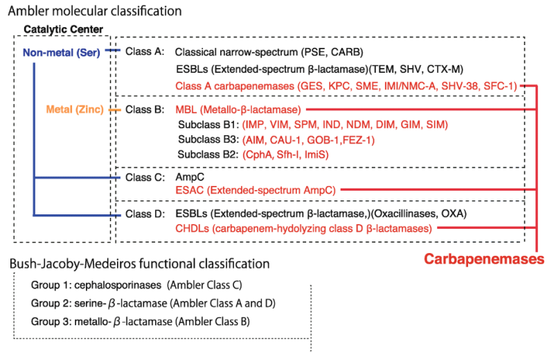 세팔로스포린계에 내성을 갖는 광범위 베타-락타마제, Extended-spectrum beta-lactamases : 네이버 블로그