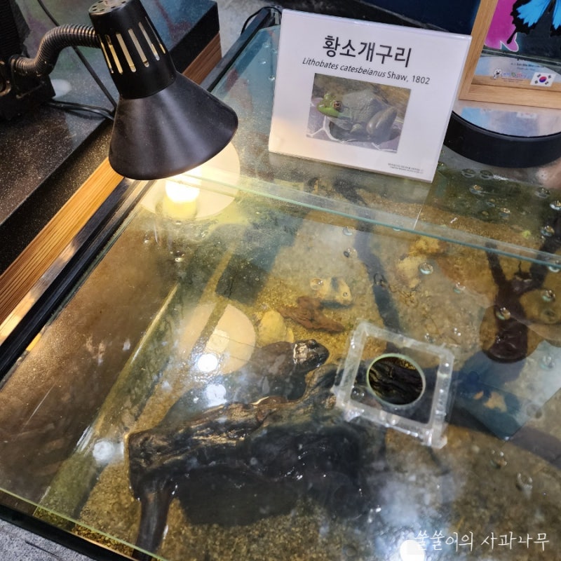 변산반도 가족여행 부안누에타운 입장료 입장시간 관람 후기 네이버 블로그