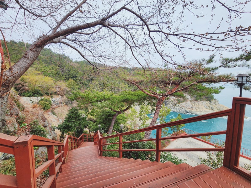 여수 사찰 용월사 여수가볼만한곳 바다가 보이는 절 네이버 블로그