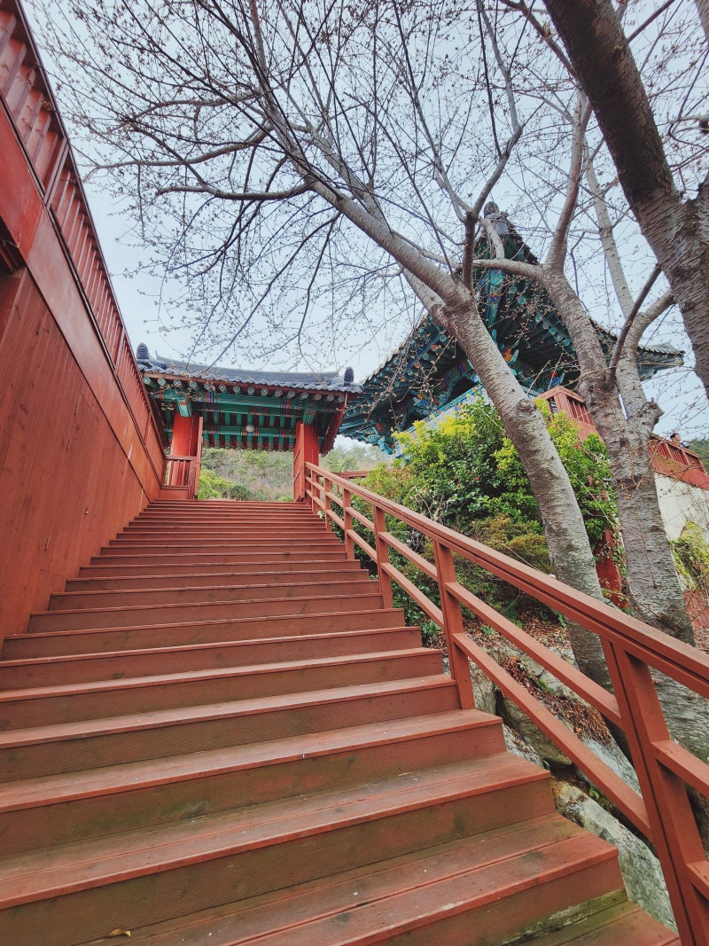 여수 사찰 용월사 여수가볼만한곳 바다가 보이는 절 네이버 블로그