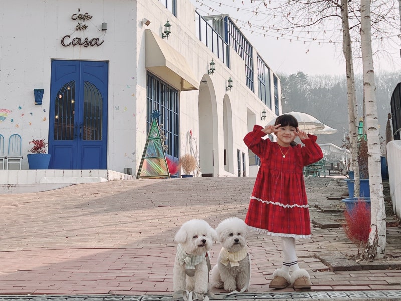 강아지 애견동반여행 가평 스페인마을 강아지랑 갈만한곳 네이버 블로그