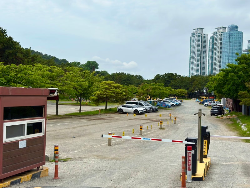 부산 해운대 송림공원 수국 개화 상황 위치 주차 네이버 블로그