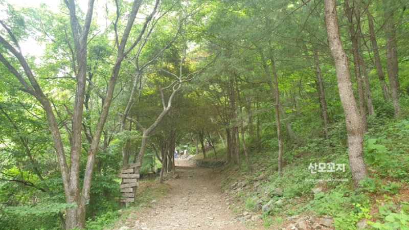 강원 홍천 가리산 최단코스 등산코스 1일2산 강우레이더관측소 가리산교 123봉 블랙야크100대명산 네이버 블로그