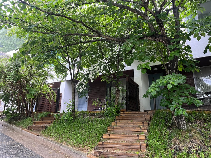 강원도 홍천 힐리언스 선마을 가격 정원동 체크인 디지털 디톡스 후기 네이버 블로그