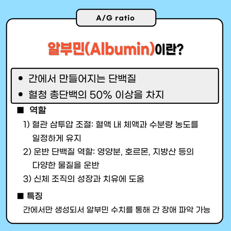 A/G ratio 알부민 Albumin Globulin 글로불린 수치 정상범위 및 이상 시 원인 용어설명 총정리 : 네이버 블로그
